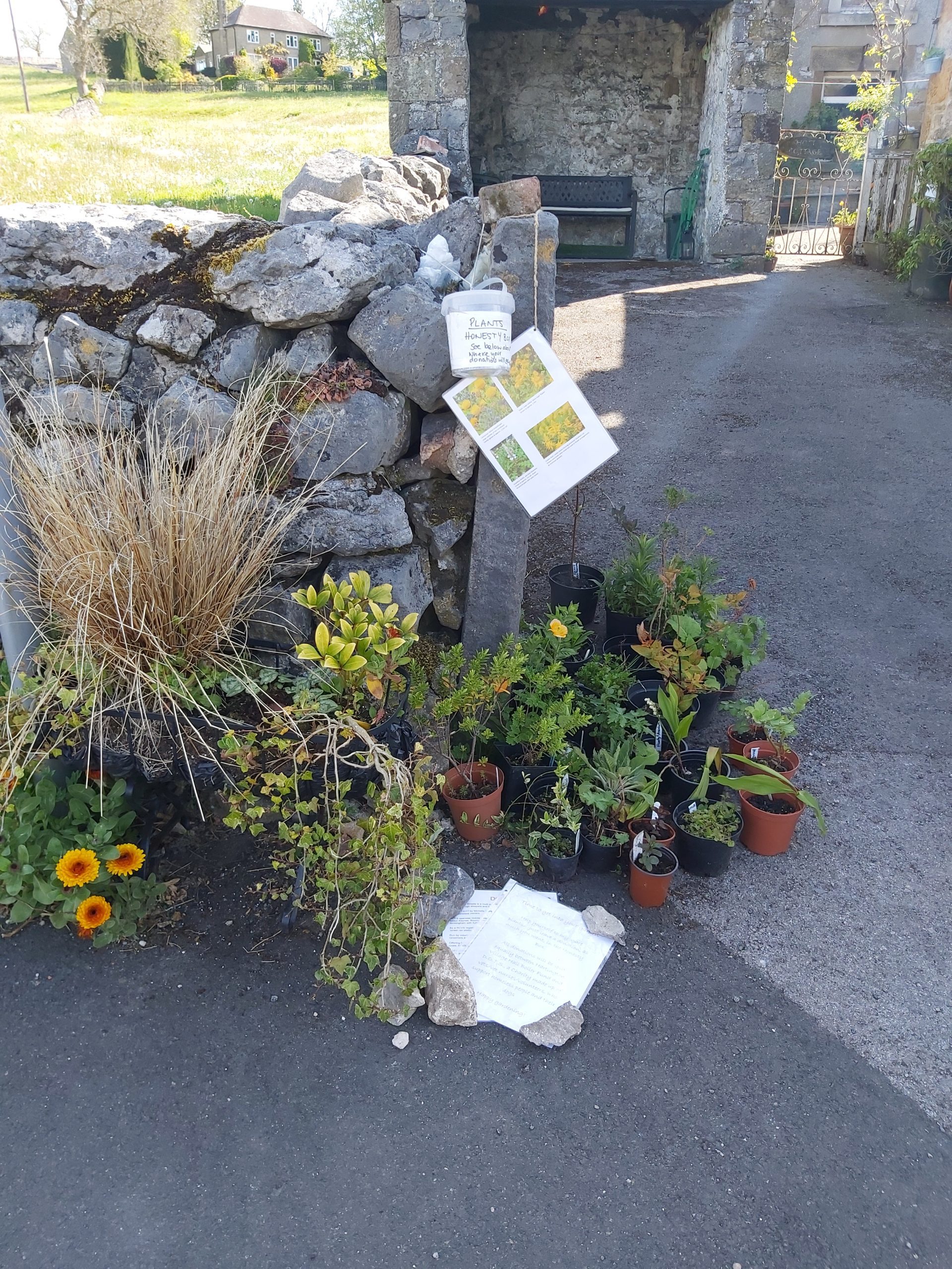 Donations for Plants | Hartington Village Donations for Plants | Hartington Village